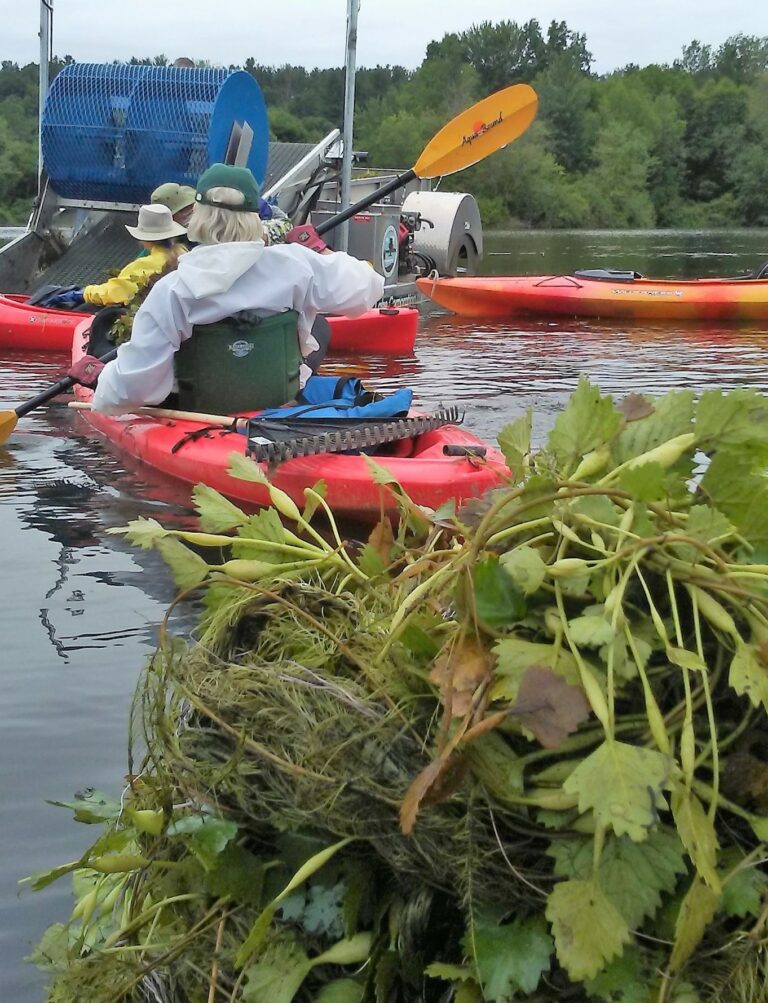 Kinderhook Lake Corporation – Wogasawoochuk – Big Fish Lake ...